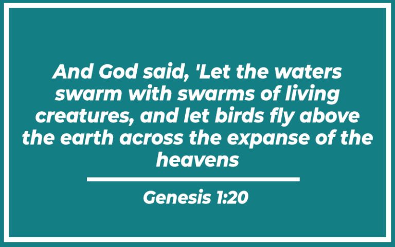 45+ Bible Verses about Birds (with Related Verses) - Christianity Path