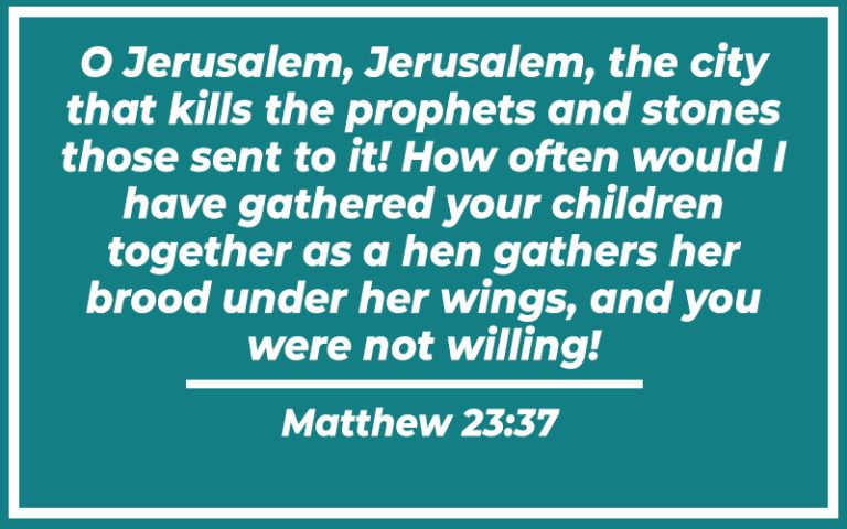 45+ Bible Verses about Birds (with Related Verses) - Christianity Path