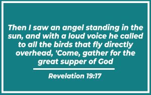 45+ Bible Verses about Birds (with Related Verses) - Christianity Path