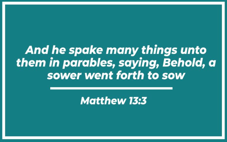 31+ Bible Verses about Seeds (with Related Verses) - Christianity Path