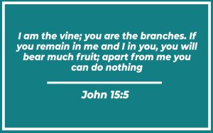 31+ Bible Verses About Plants (with Related Verses) - Christianity Path