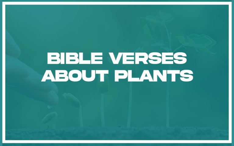 31+ Bible Verses About Plants (with Related Verses) - Christianity Path