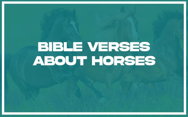 31+ Bible Verses about Horses (with Related Verses) - Christianity Path
