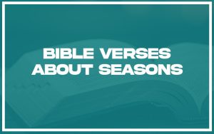 31+ Bible Verses about Seasons (with Related Verses) - Christianity Path