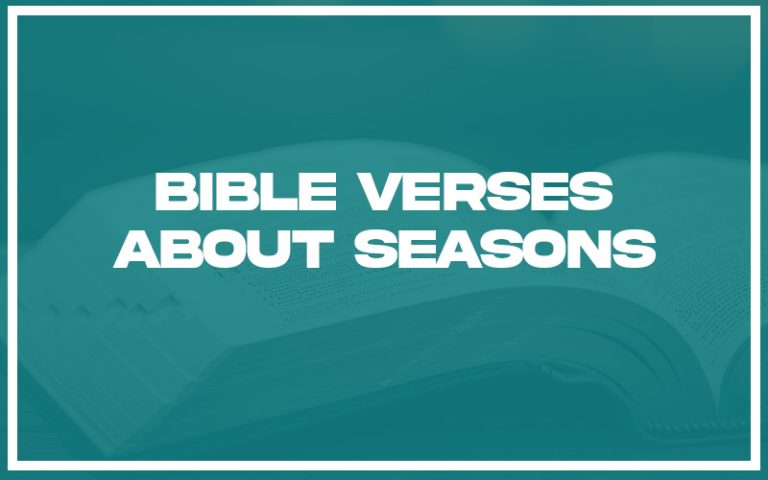 31+ Bible Verses about Seasons (with Related Verses) - Christianity Path