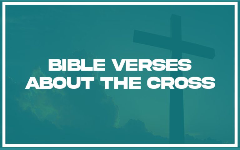 31 Bible Verses about The Cross (with Related Verses) - Christianity Path