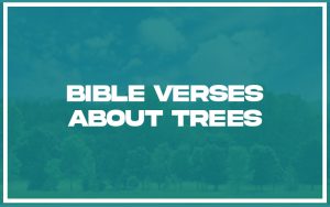 31+ Bible Verses about Trees (with Related Verses) - Christianity Path