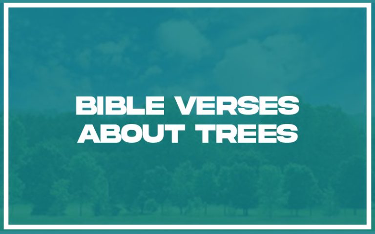 31+ Bible Verses about Trees (with Related Verses) - Christianity Path