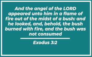 31 Important Fire Bible Verses (with Related Verses) - Christianity Path