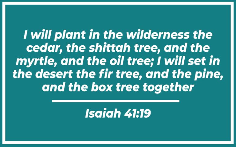 31+ Bible Verses about Trees (with Related Verses) - Christianity Path