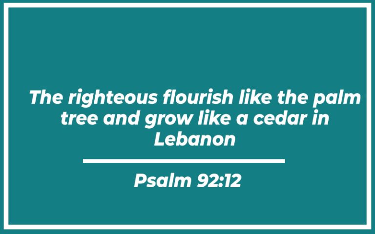 31+ Bible Verses about Trees (with Related Verses) - Christianity Path