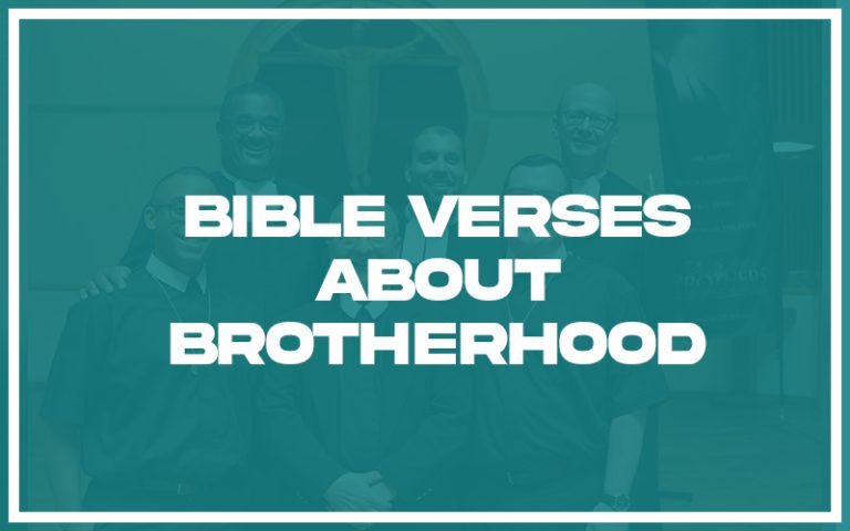 31+ Bible Verses about Brotherhood (with Related Verses) - Christianity ...