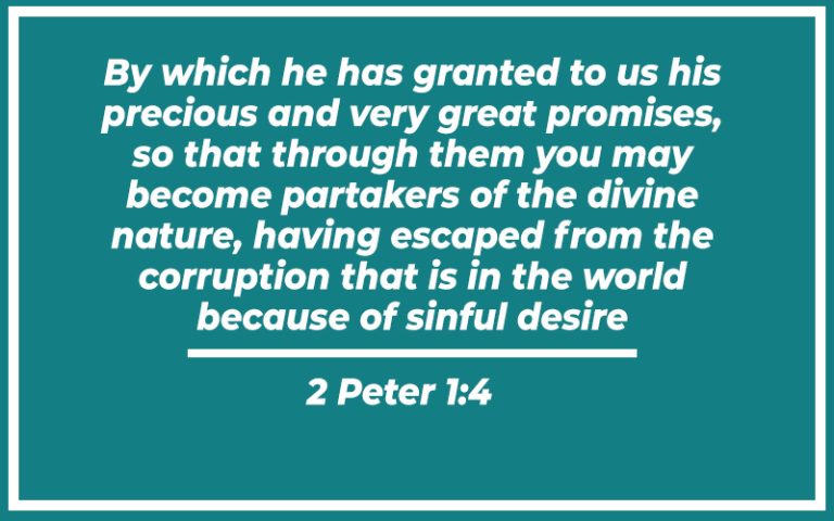 31 Bible Verses About Treasure (with Related Verses) - Christianity Path