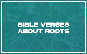 31 Bible Verses About Roots (with Related Verses) - Christianity Path