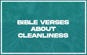 31 Bible Verses About Cleanliness (with Related Verses) - Christianity Path