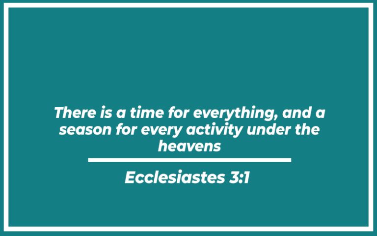 31 Bible Verses About Summer (with Related Verses) - Christianity Path