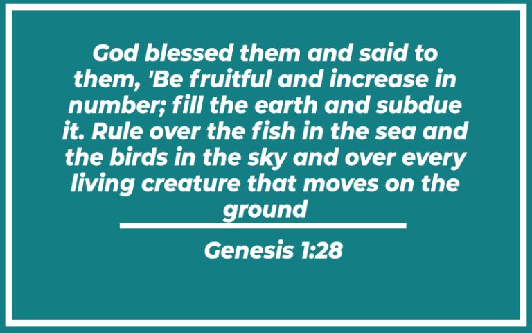 31 Bible Verses about Fruitfulness (with Related Verses) - Christianity ...