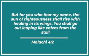 31 Bible Verses About Roots (with Related Verses) - Christianity Path