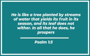 31 Bible Verses About Roots (with Related Verses) - Christianity Path