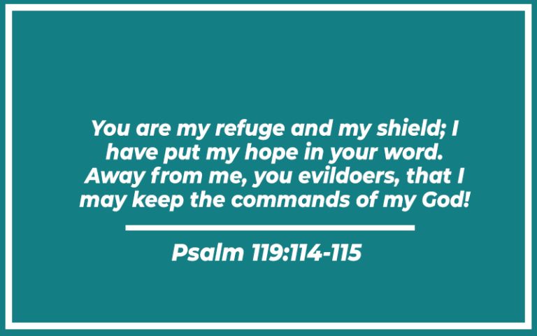 31 Bible Verses About Warriors (with Related Verses) - Christianity Path
