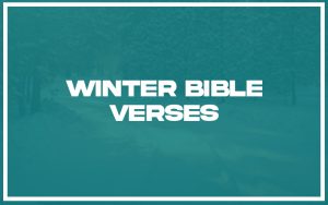 31 Bible Verses about Winter (with Related Verses) - Christianity Path
