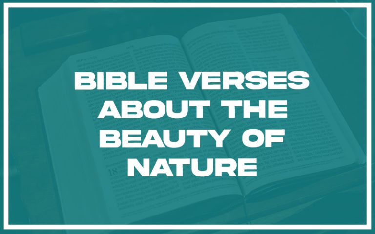 31 Bible Verses About The Beauty Of Nature (with Related Verses) - Christianity Path
