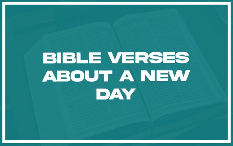 31 Bible Verses About a New Day (with Related Verses) - Christianity Path