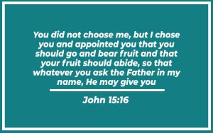 31 Bible Verses About Bearing Fruit (with Related Verses ...