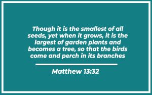 31 Bible Verses About Planting Seeds (with Related Verses ...