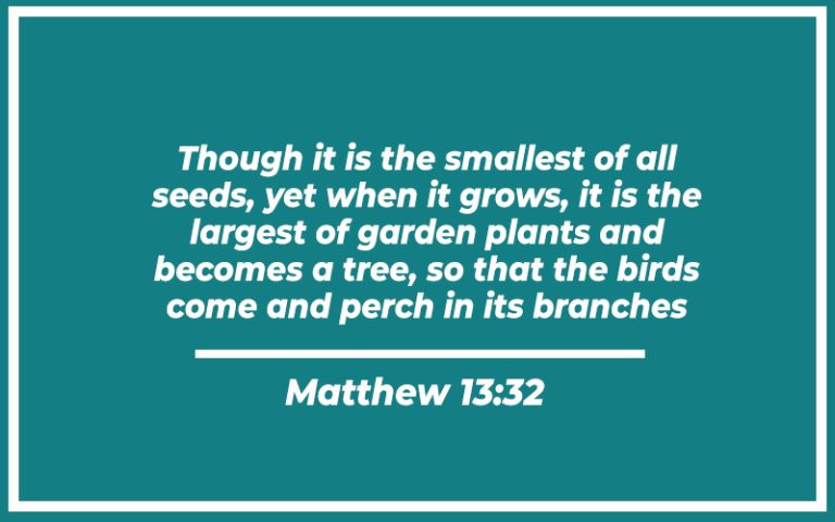 31 Bible Verses About Planting Seeds (with Related Verses ...