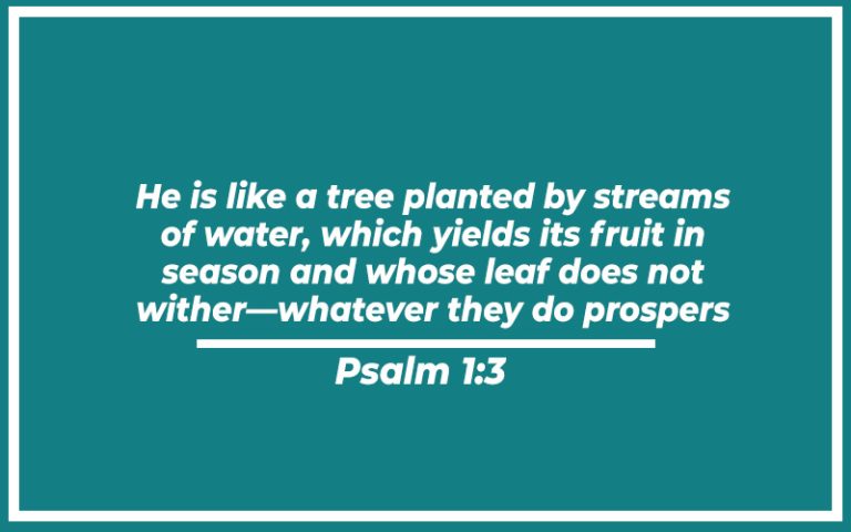 31 Bible Verses About Blooming (with Related Verses) - Christianity Path