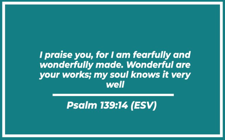 31 Bible Verses About Value (with Related Verses) - Christianity Path