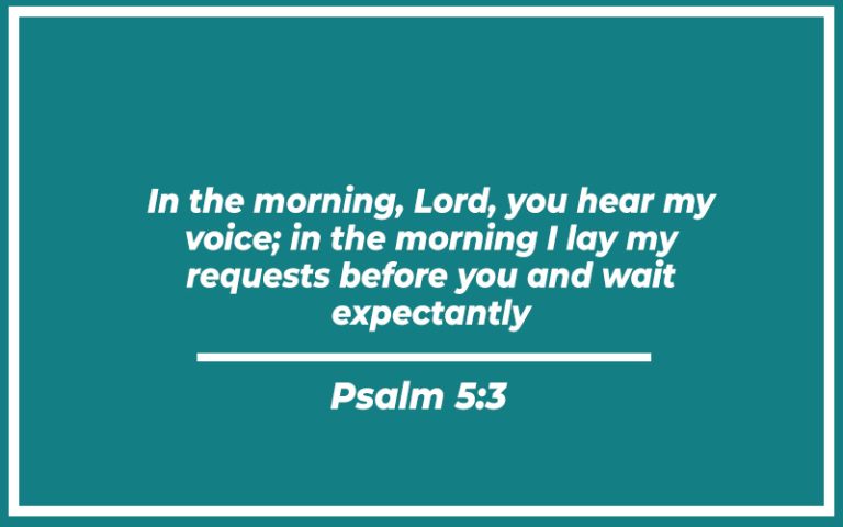 31 Bible Verses About a New Day (with Related Verses) - Christianity Path