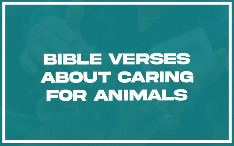 31 Bible Verses about Caring for Animals (with Related Verses ...