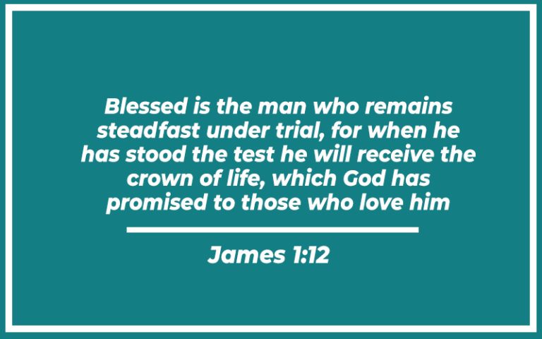 31 Bible Verses for Baseball Players (with Related Verses ...