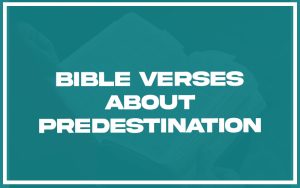 31 Bible Verses About Predestination (with Related Verses ...