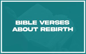 31 Bible Verses About Rebirth (with Related Verses) - Christianity Path