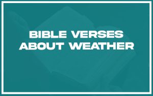 31 Bible Verses About Weather (with Related Verses) - Christianity Path