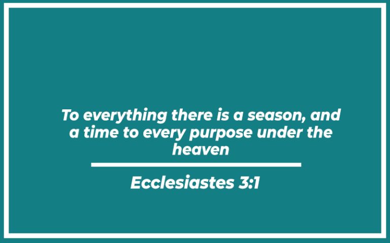 31 Bible Verses For When You Feel Lost (with Related Verses ...