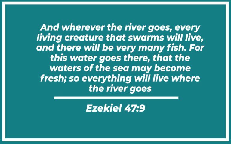 31 Bible Verses About Rivers (with Related Verses) - Christianity Path