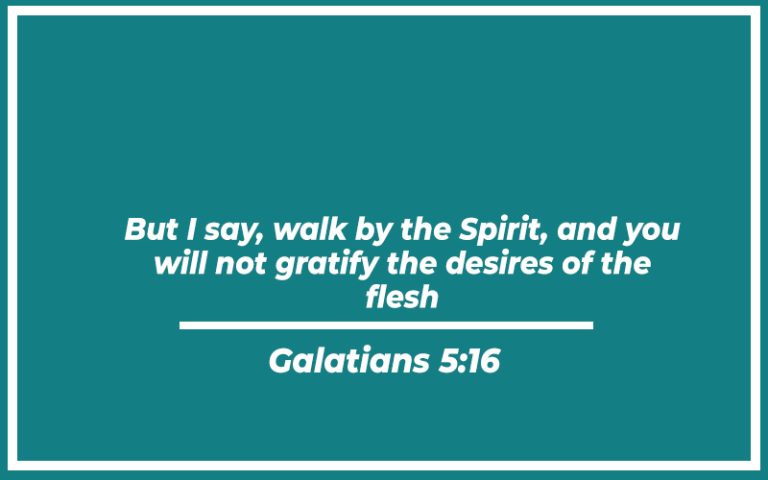 31 Bible Verses About Rebirth (with Related Verses) - Christianity Path