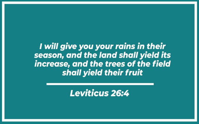 31 Bible Verses About Weather (with Related Verses) - Christianity Path