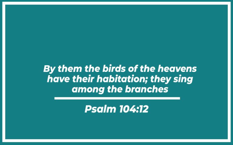 31 Bible Verses About Birds Praising God (With Related Verses ...