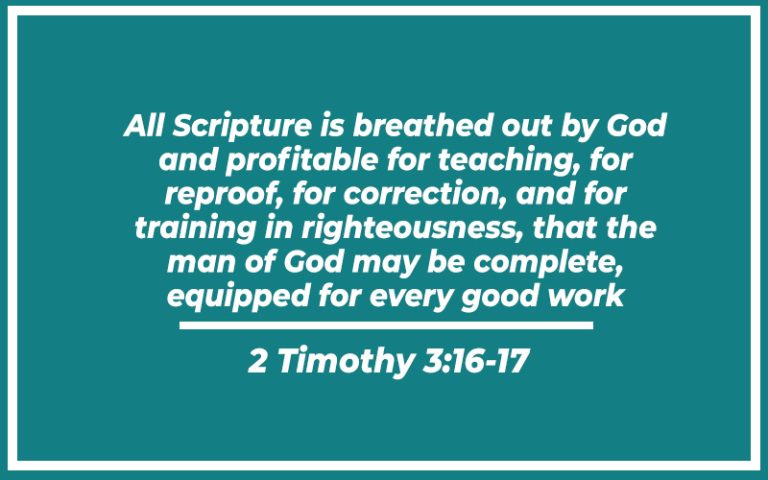31 Bible Verses About False Teachings (with Related Verses ...