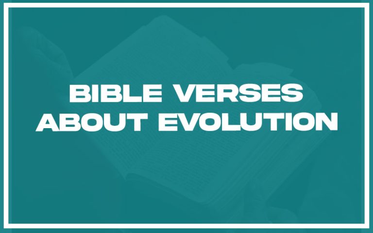 31 Bible Verses About Evolution (with Related Verses) - Christianity Path