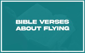 31 Bible Verses About Flying (with Related Verses) - Christianity Path