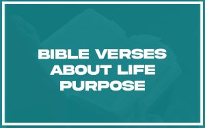 31 Bible Verses About Life Purpose (With Related Verses) - Christianity ...