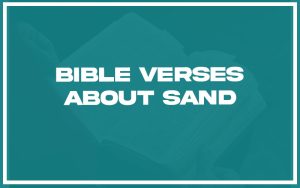 31 Bible Verses About Sand (with Related Verses) - Christianity Path