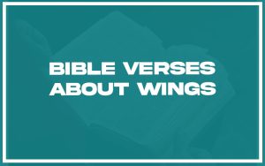 31 Bible Verses About Wings (with Related Verses) - Christianity Path