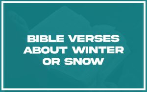 31 Bible Verses About Winter or Snow (with Related Verses ...